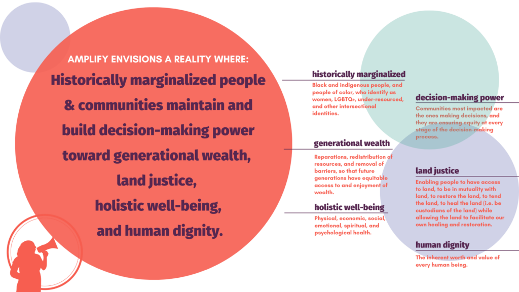 Amplify Fund - Neighborhood Funders Group